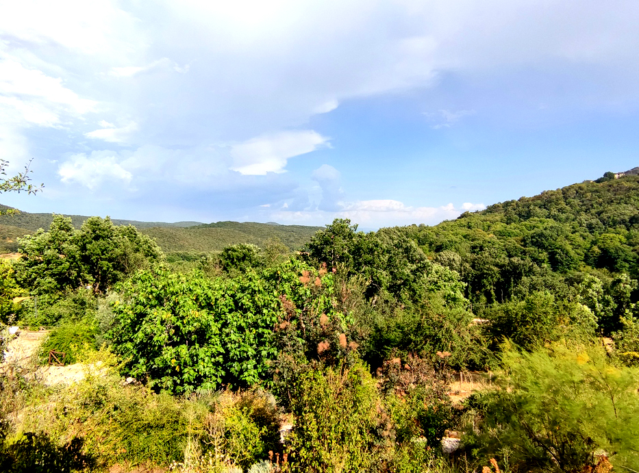 B&B Macchie - Dream houses Italy